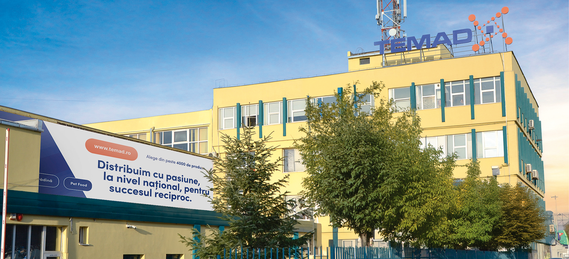 TEMAD - O poveste de succes românească - TEMAD